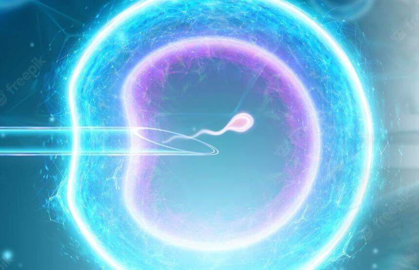 Importance of IVF treatment | Hegde Fertility